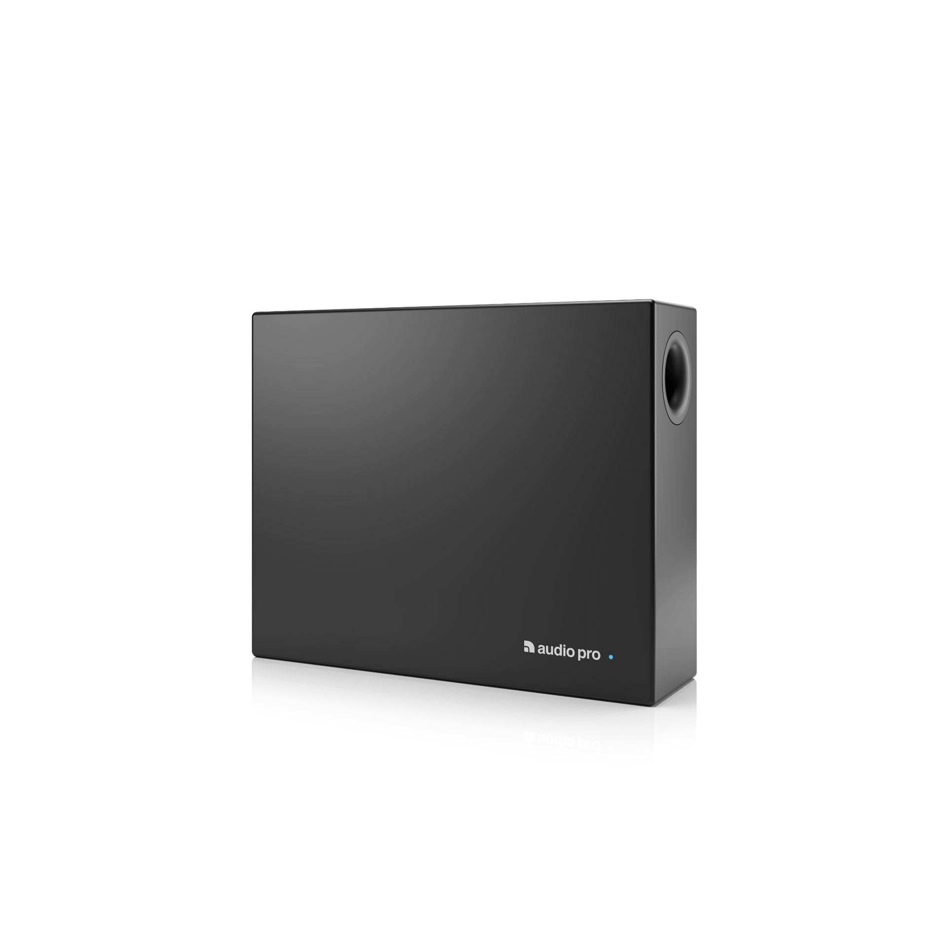 SUB-1 Subwoofer