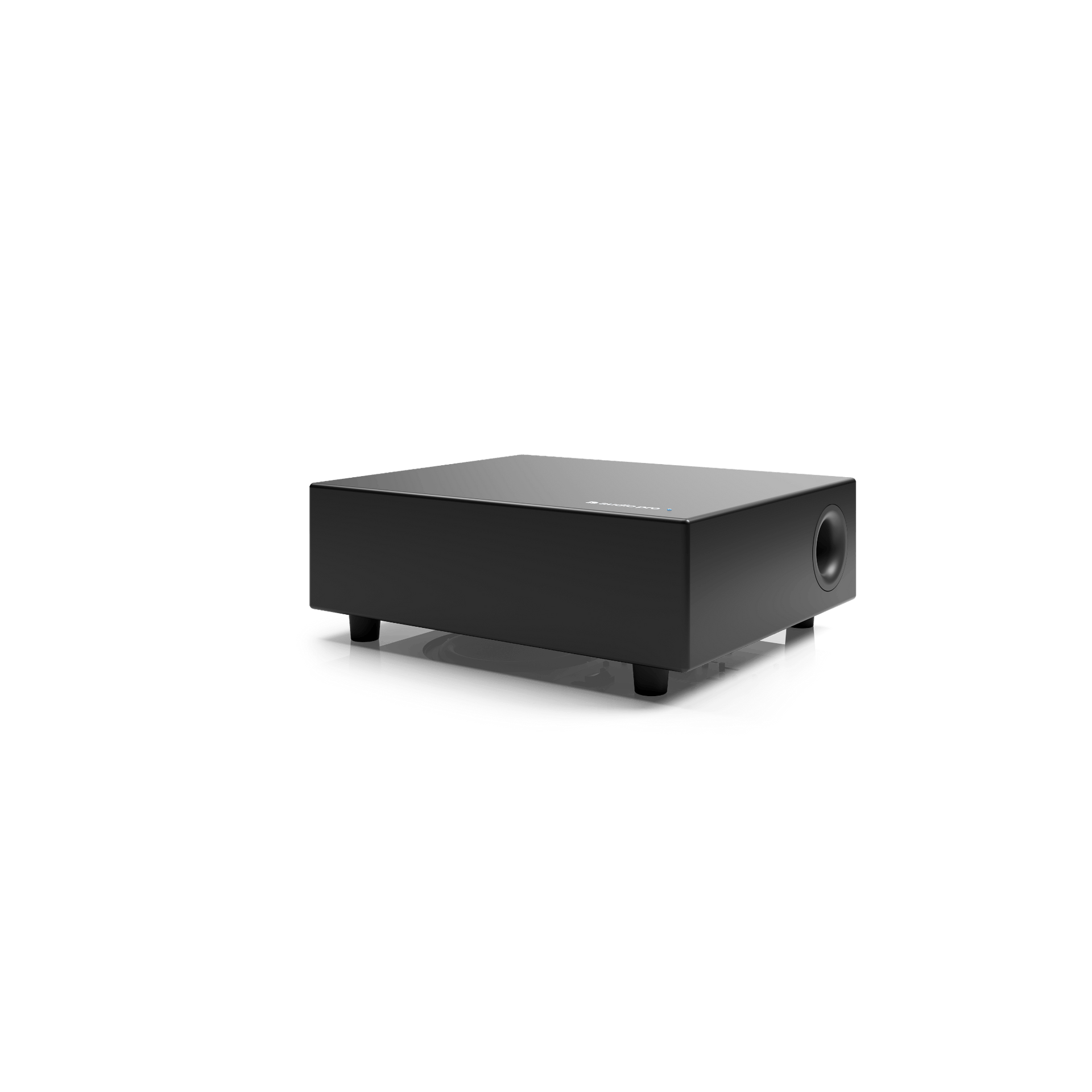 SUB-1 Subwoofer